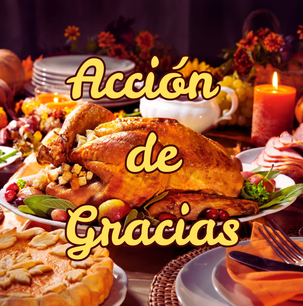 Definición De Acción De Gracias