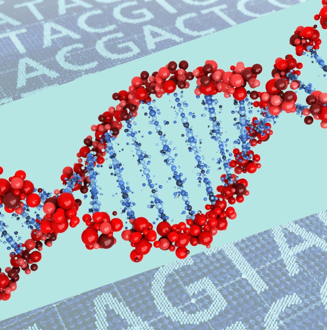 Adn Cido Desoxirribonucleico Qu Es Partes Y Estructura Toda Materia