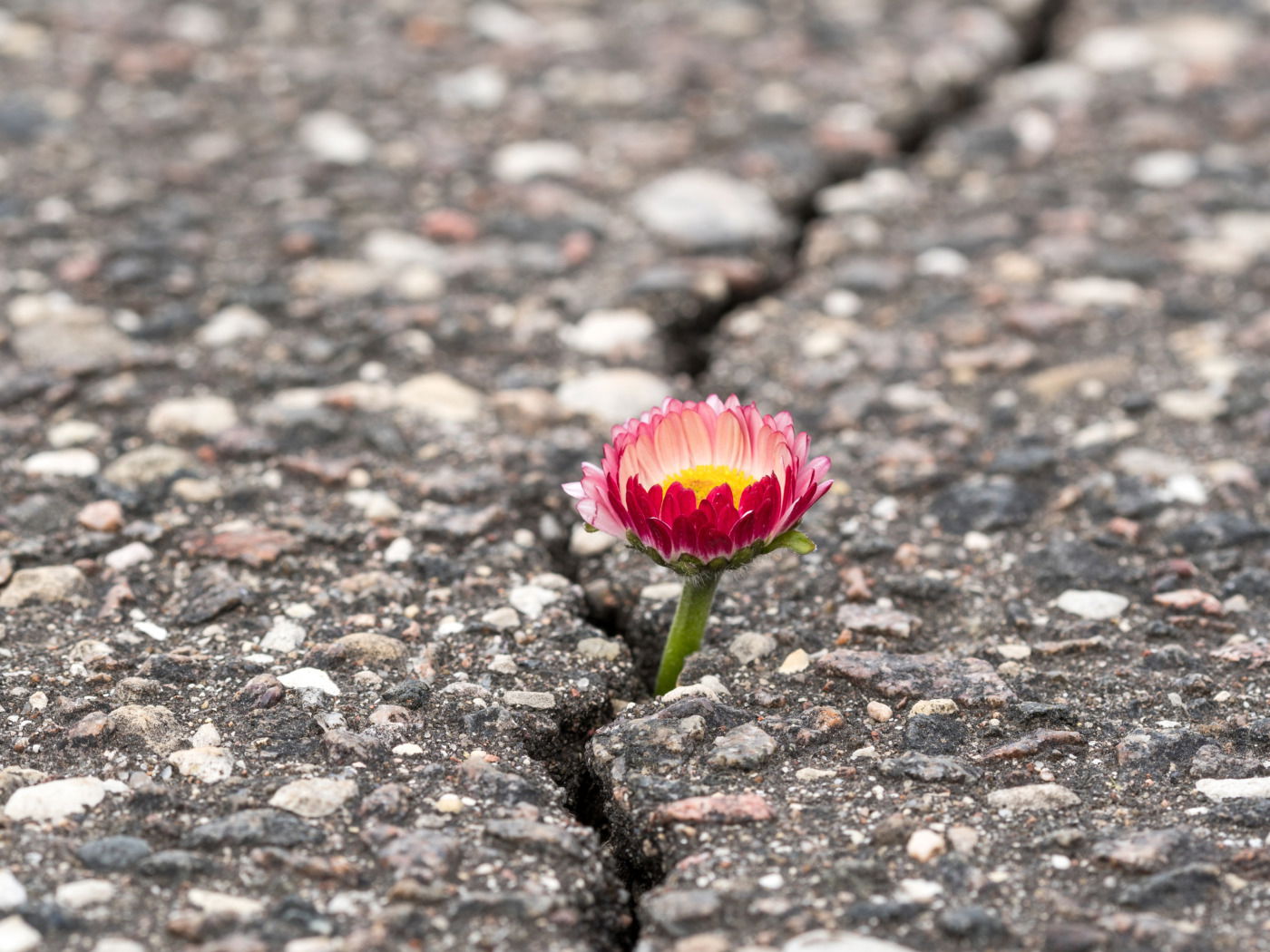 Adversidad (Qué es, Tipos y Ejemplos) - Enciclopedia Significados