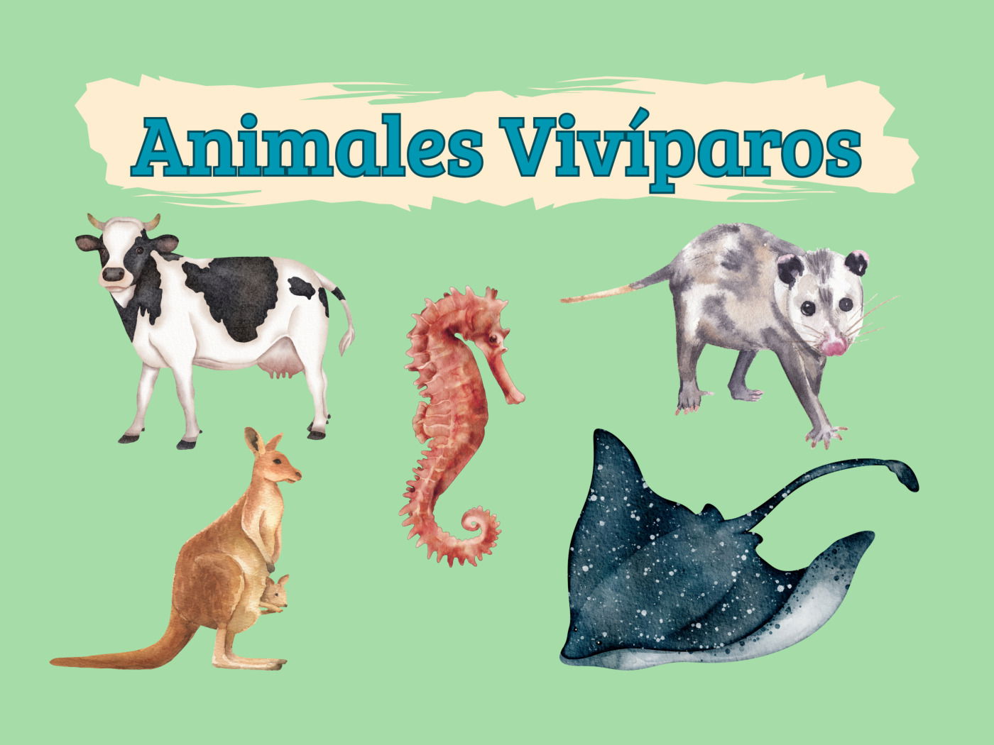 Animales Ovoviviparos Ejemplos