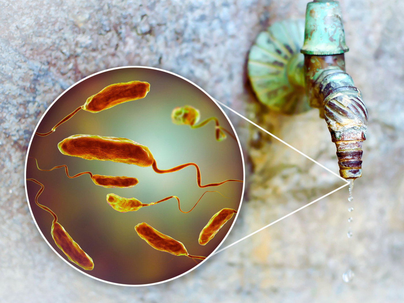 Ejemplos De Arqueobacterias La Sofisticada Arma De Las Bacterias Para