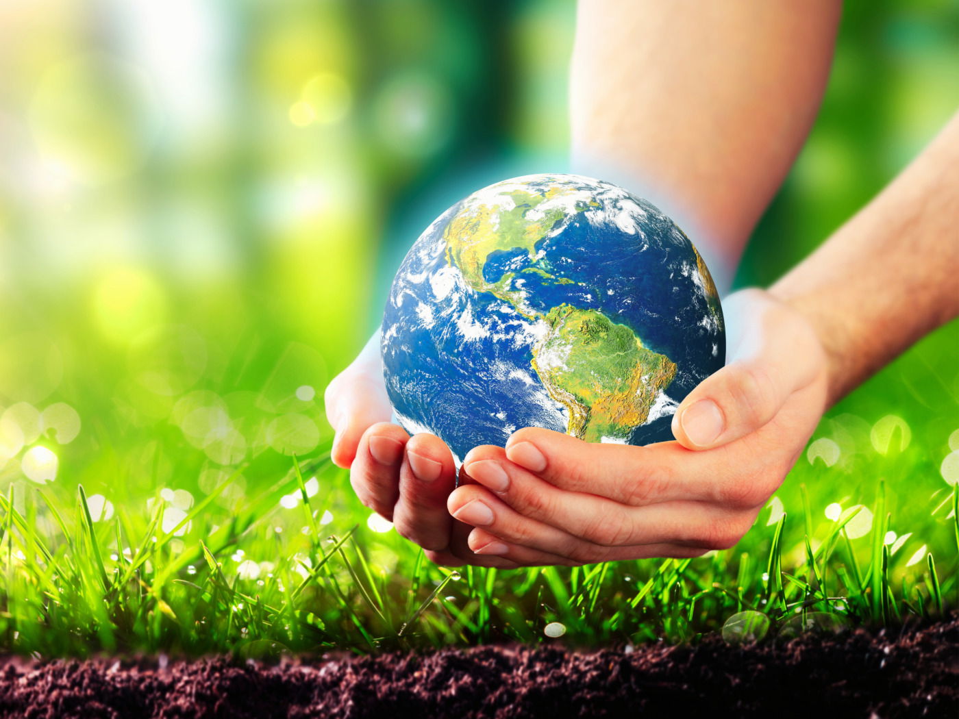 Biósfera: qué es, importancia, características y capas - Enciclopedia ...