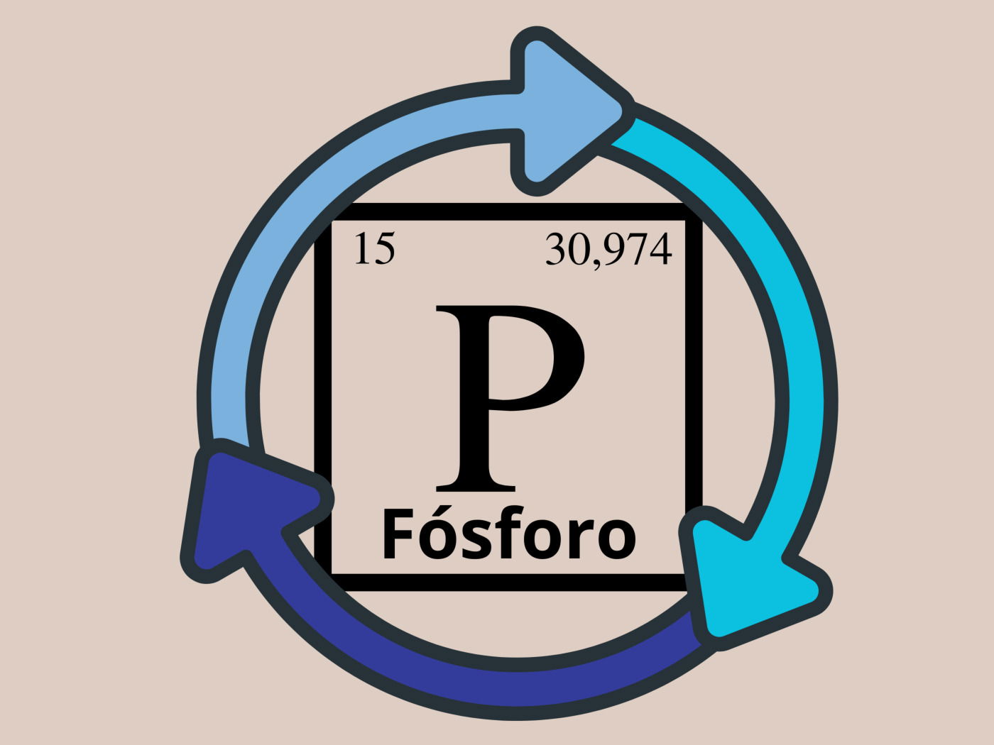 Ciclo Facil Do Fosforo Cooperpasto