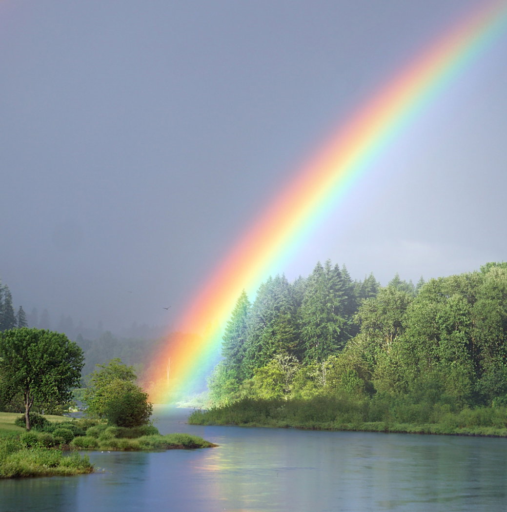 Los Colores Del Arco Iris Los Colores Del Arcoiris By La Senora Bishop