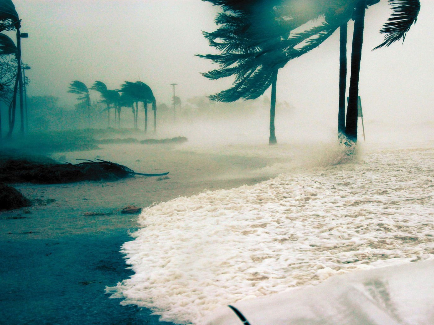 Desastres Naturales: causas, consecuencias, tipos y ejemplos ...