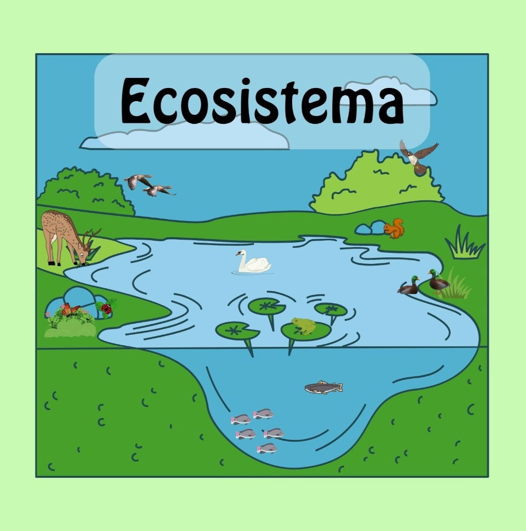 Ejemplo De Comunidad Biologica