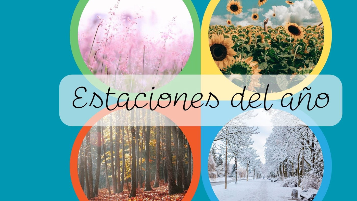 4 Estaciones Del Año