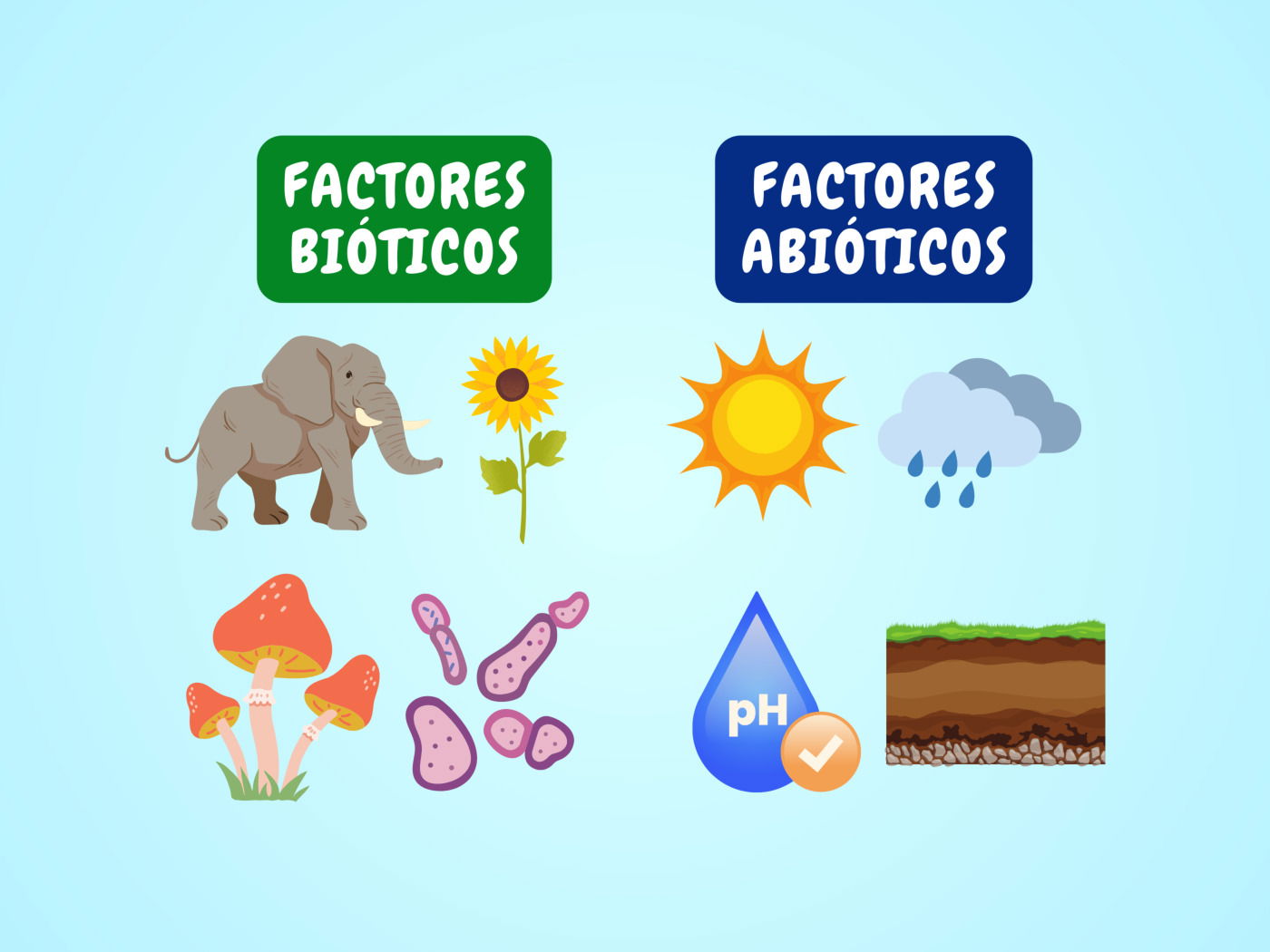 Factores Bióticos y Abióticos: qué son, diferencias y ejemplos - Enciclopedia Significados