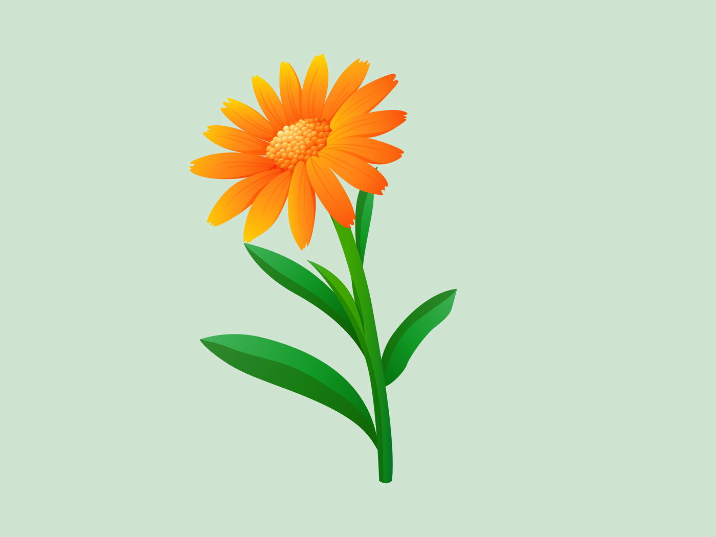 Flor: qué es, partes, función y tipos - Enciclopedia Significados