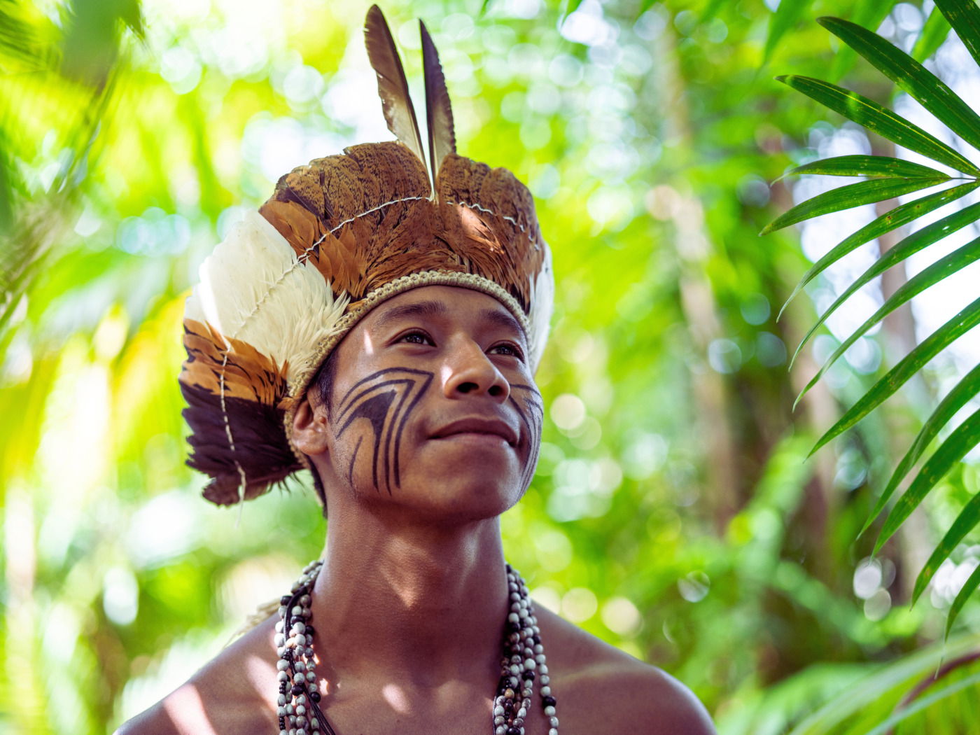 Indigenismo: Qué es y Ejemplos - Enciclopedia Significados