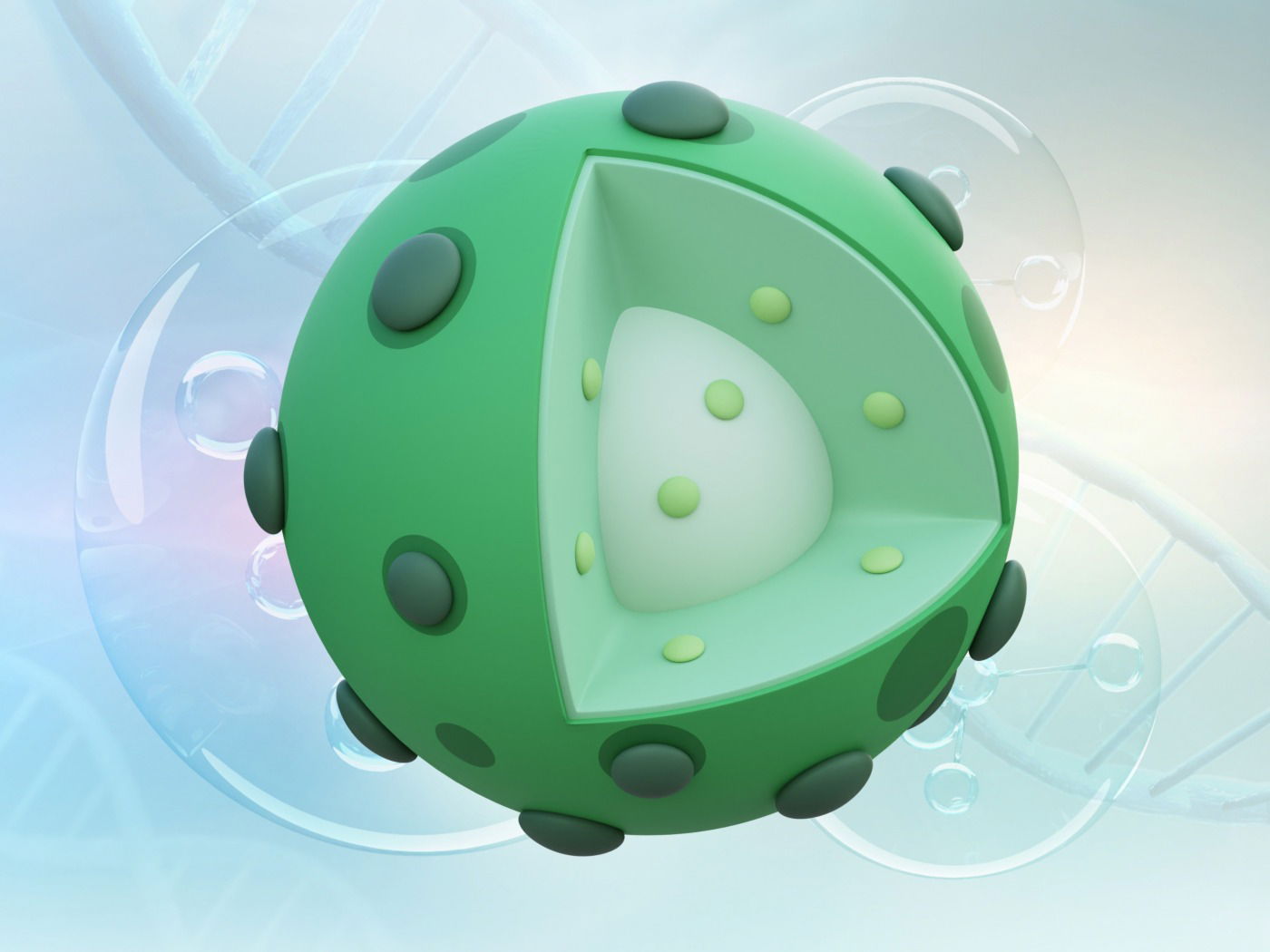 Lisosomas: Qué son, Función, Estructura y Tipos - Enciclopedia Significados