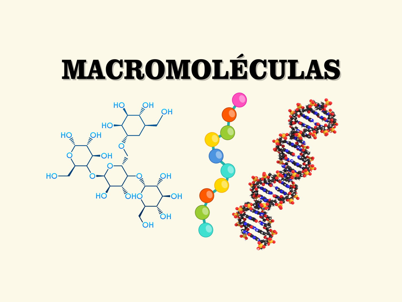 Estructura De 4 Macromoléculas