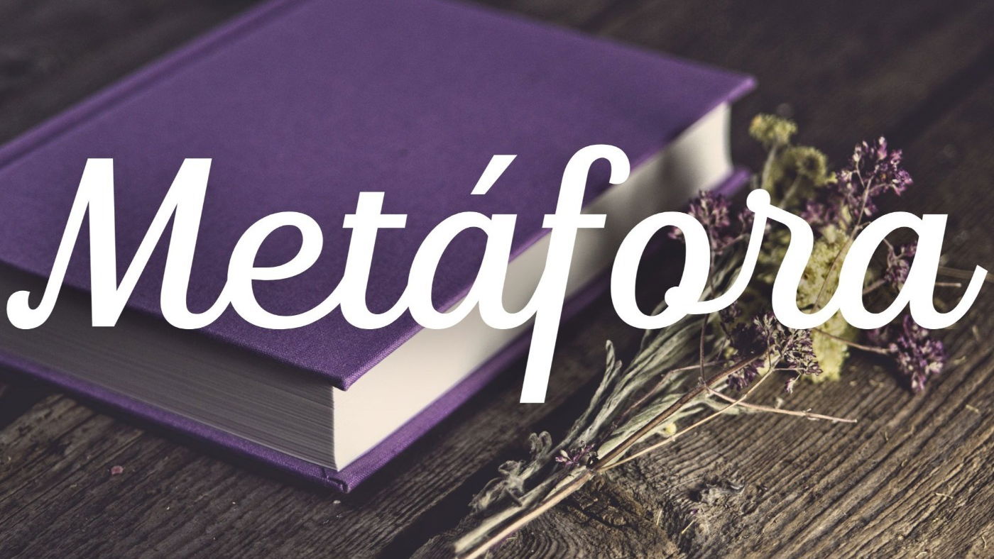 Ejemplo De Metáfora