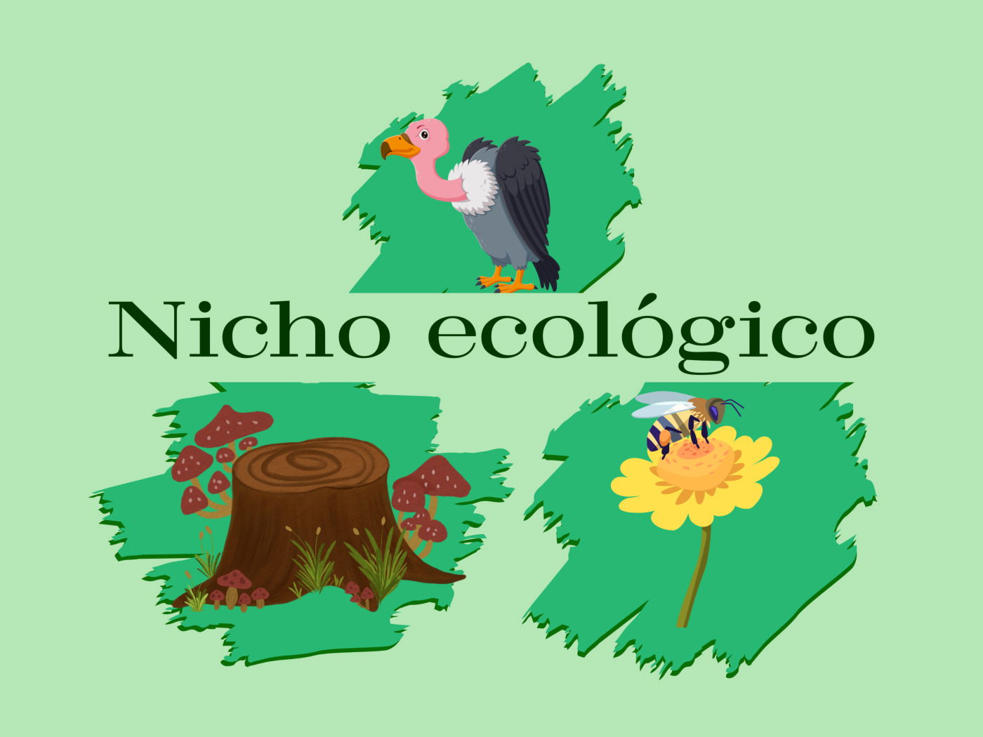 Nicho Ecologico