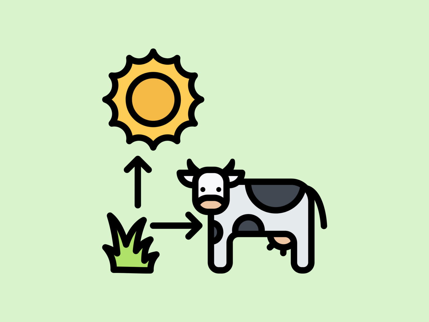 Nutrición heterótrofa: qué es, tipos y etapas - Enciclopedia Significados