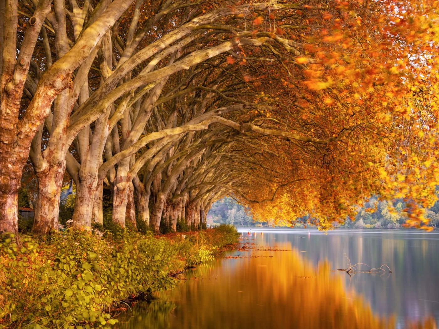Otoño (estación del año): qué es y características - Enciclopedia ...