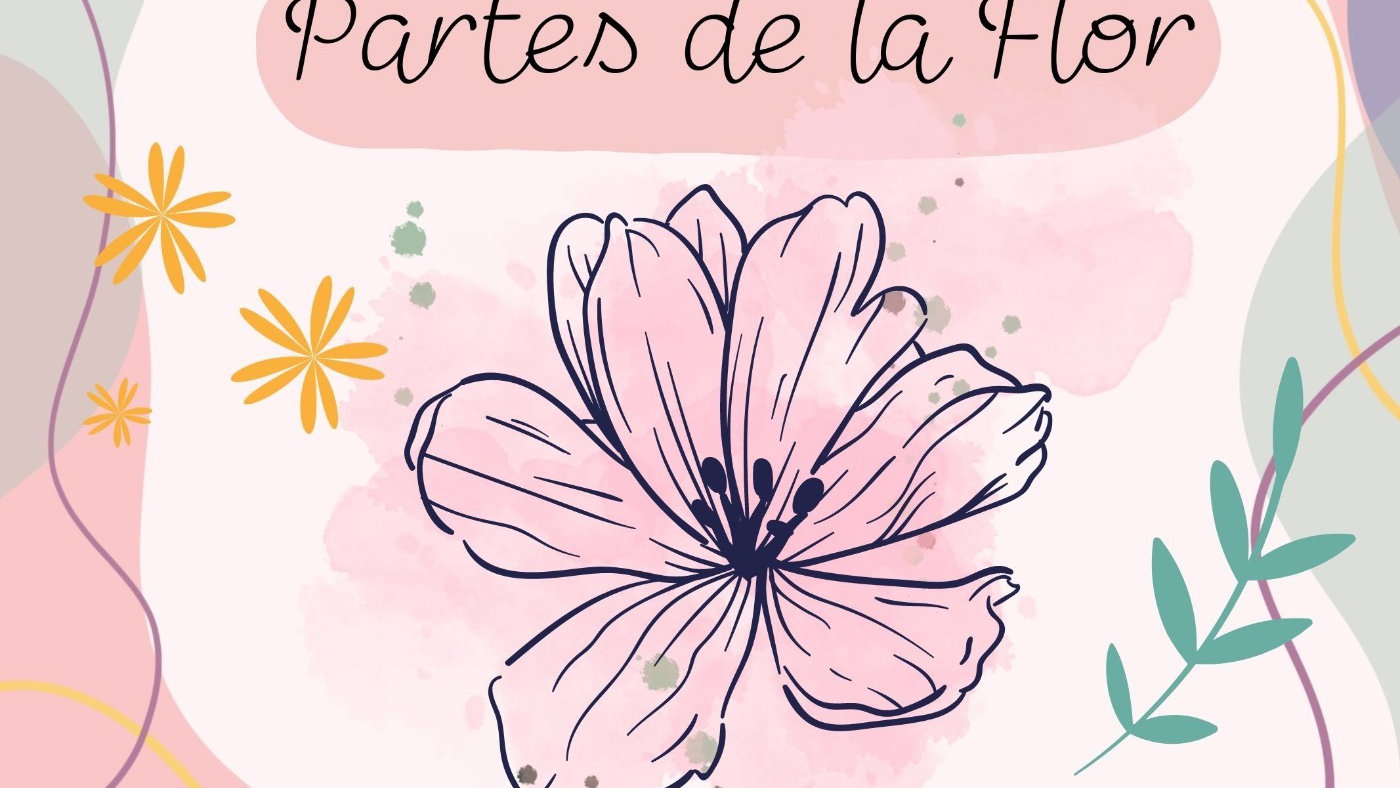 Partes De Una Flor