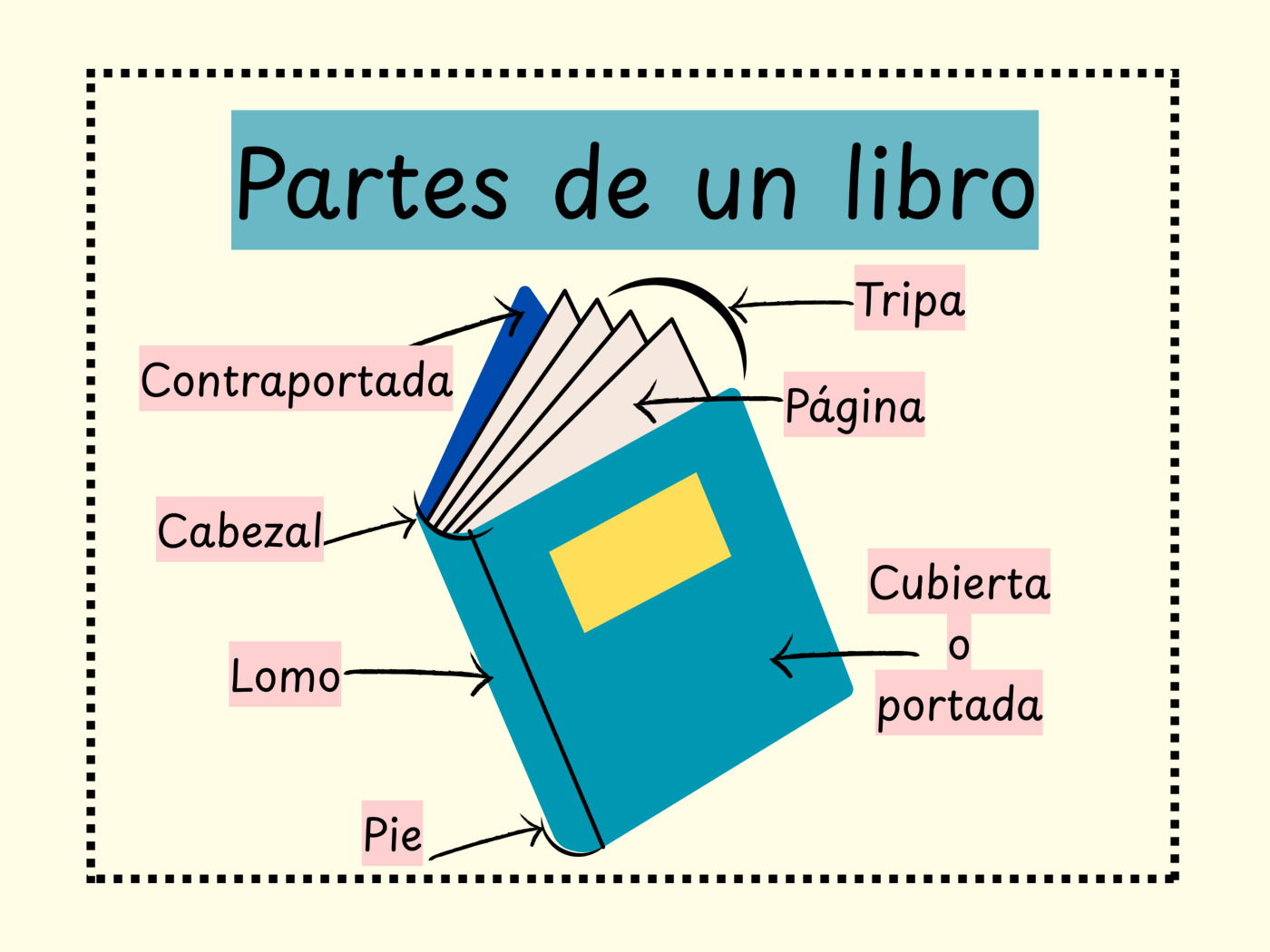 Libros Y Sus Partes Externas