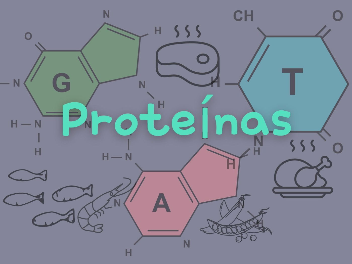 Biología Del Diagrama De Proteínas