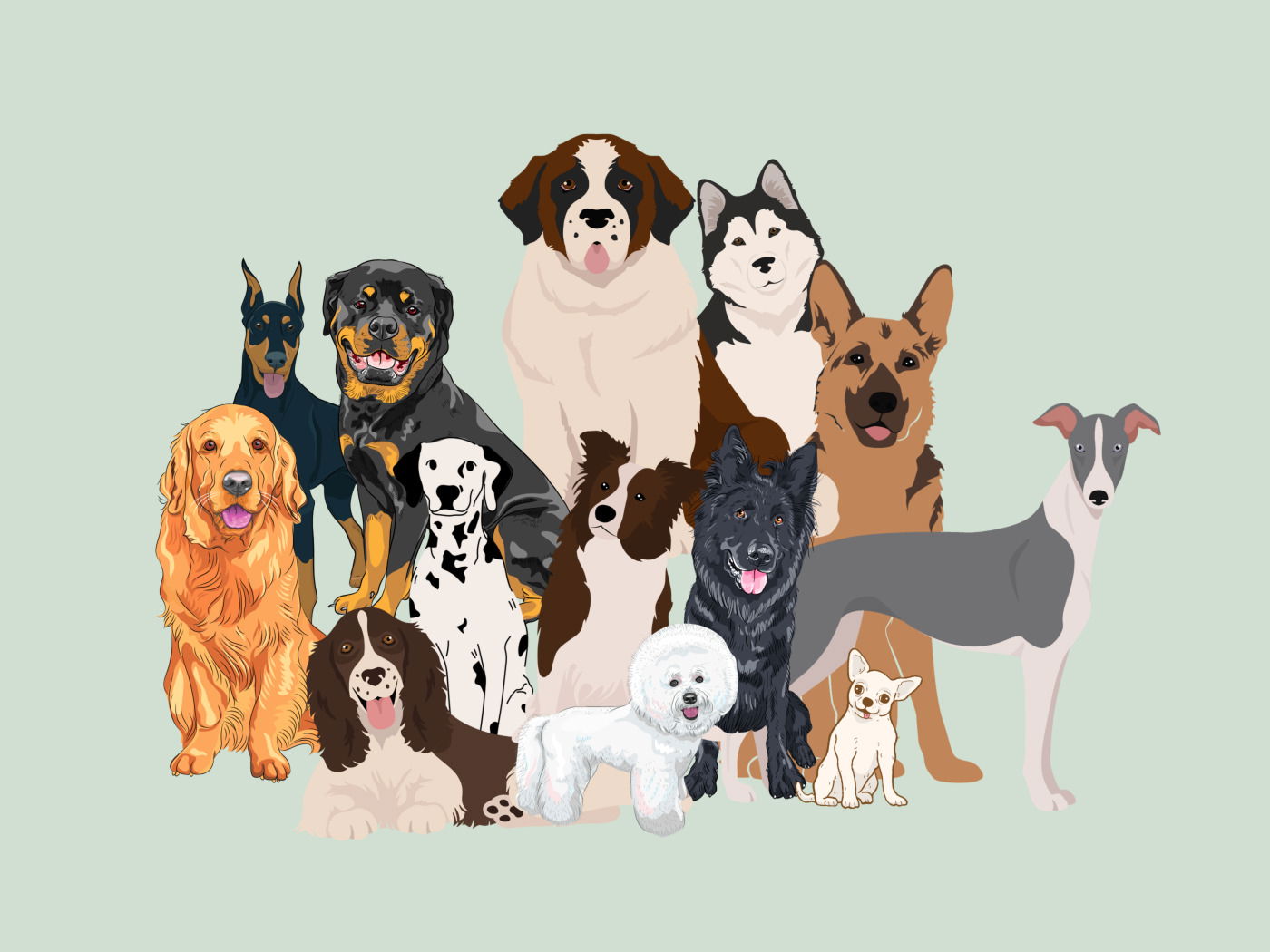 Razas de perro: diferentes tipos y sus rasgos - Enciclopedia Significados