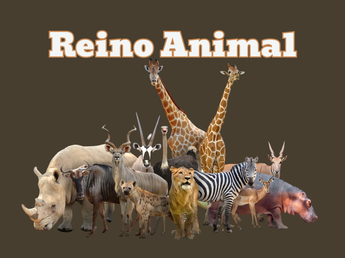 Clasificación Del Reino Animal Para Niños