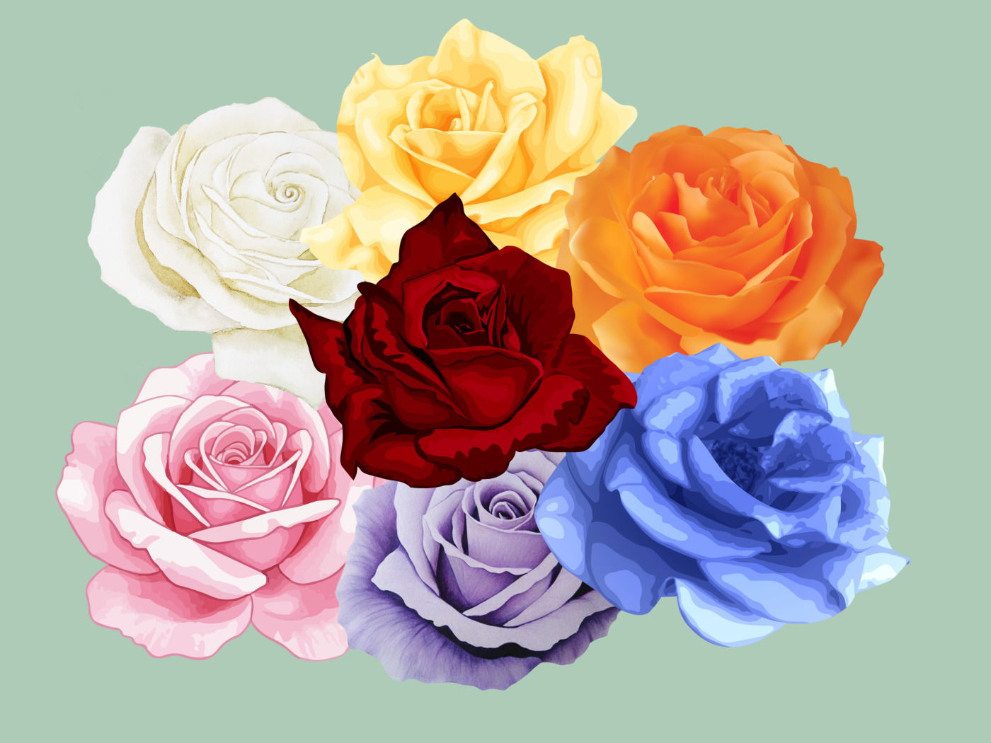 Significado de las rosas y sus colores: qué representa cada una ...