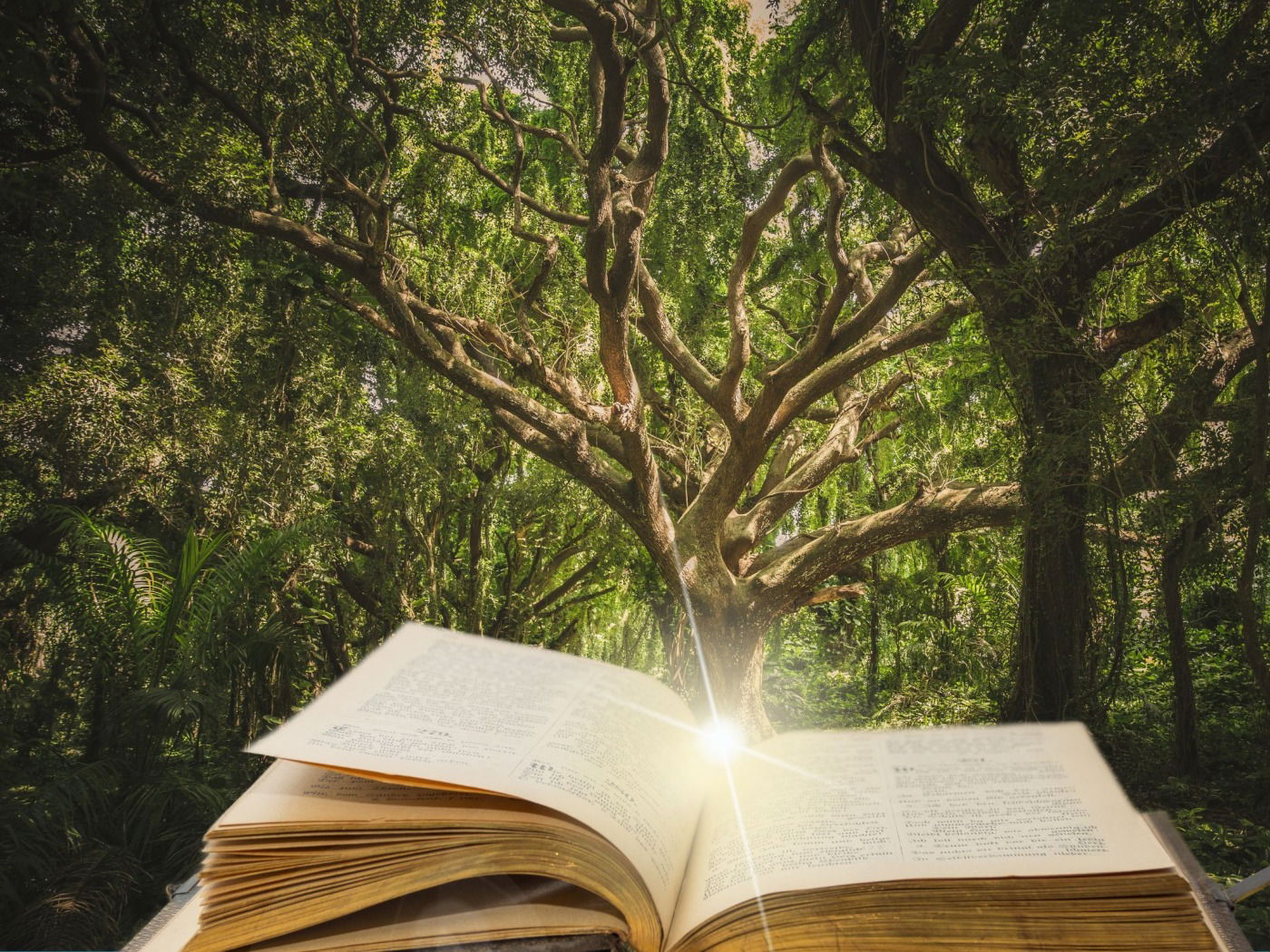 Sabiduría: qué es y significado - Enciclopedia Significados