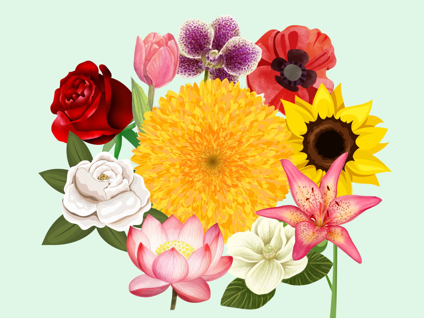 Significado de las flores: qué simboliza cada tipo - Enciclopedia ...