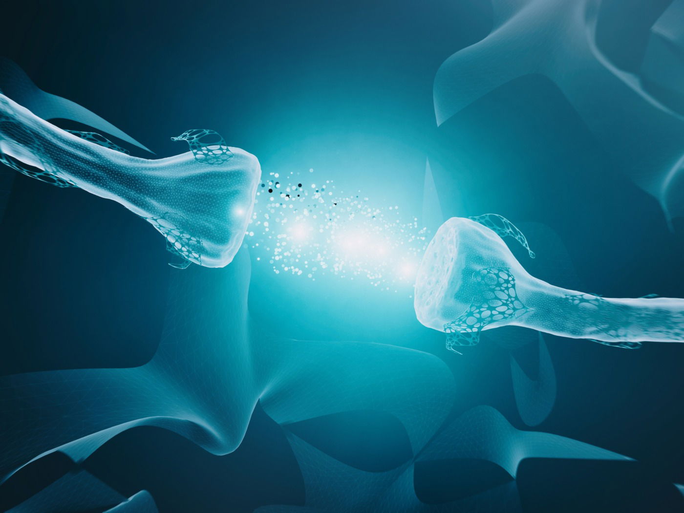 Sinapsis: Qué es, Función y Tipos (Eléctrica y Química) - Enciclopedia ...