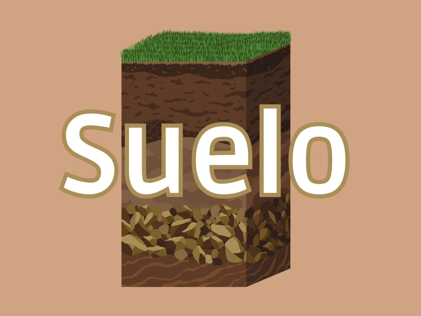 Tipos De Suelo Y Sus Capas EL SUELO, CAPAS Y TIPOS YouTube