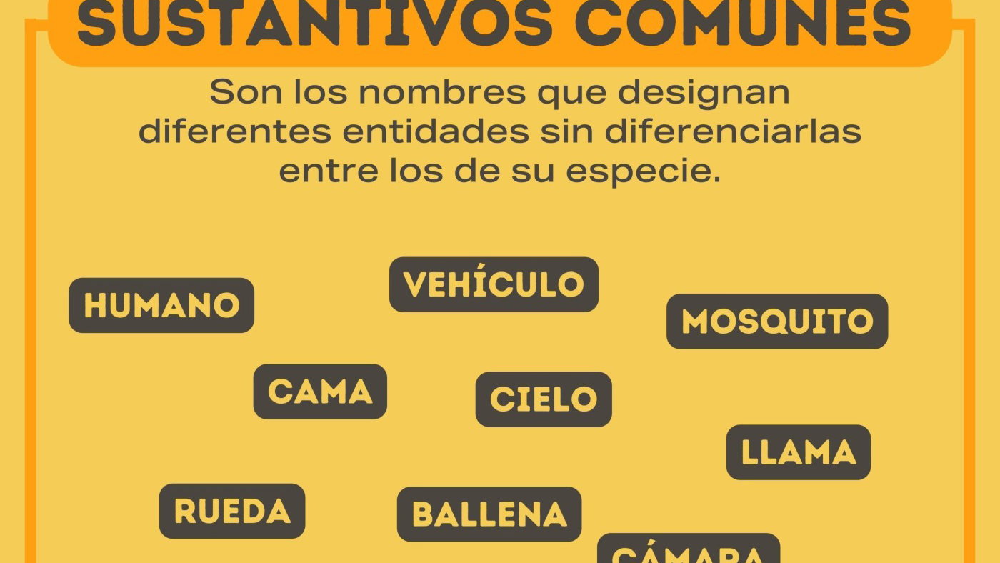 Imágenes De Sustantivos Comunes