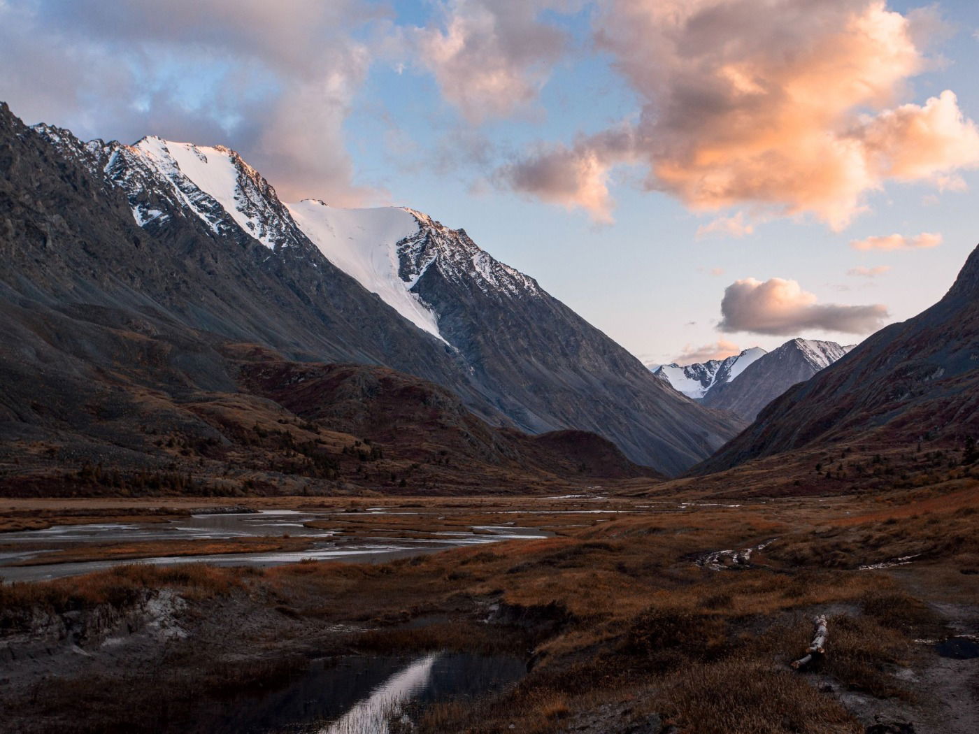 Tundra: qué es, fauna, flora, características, clima y tipos - Enciclopedia Significados
