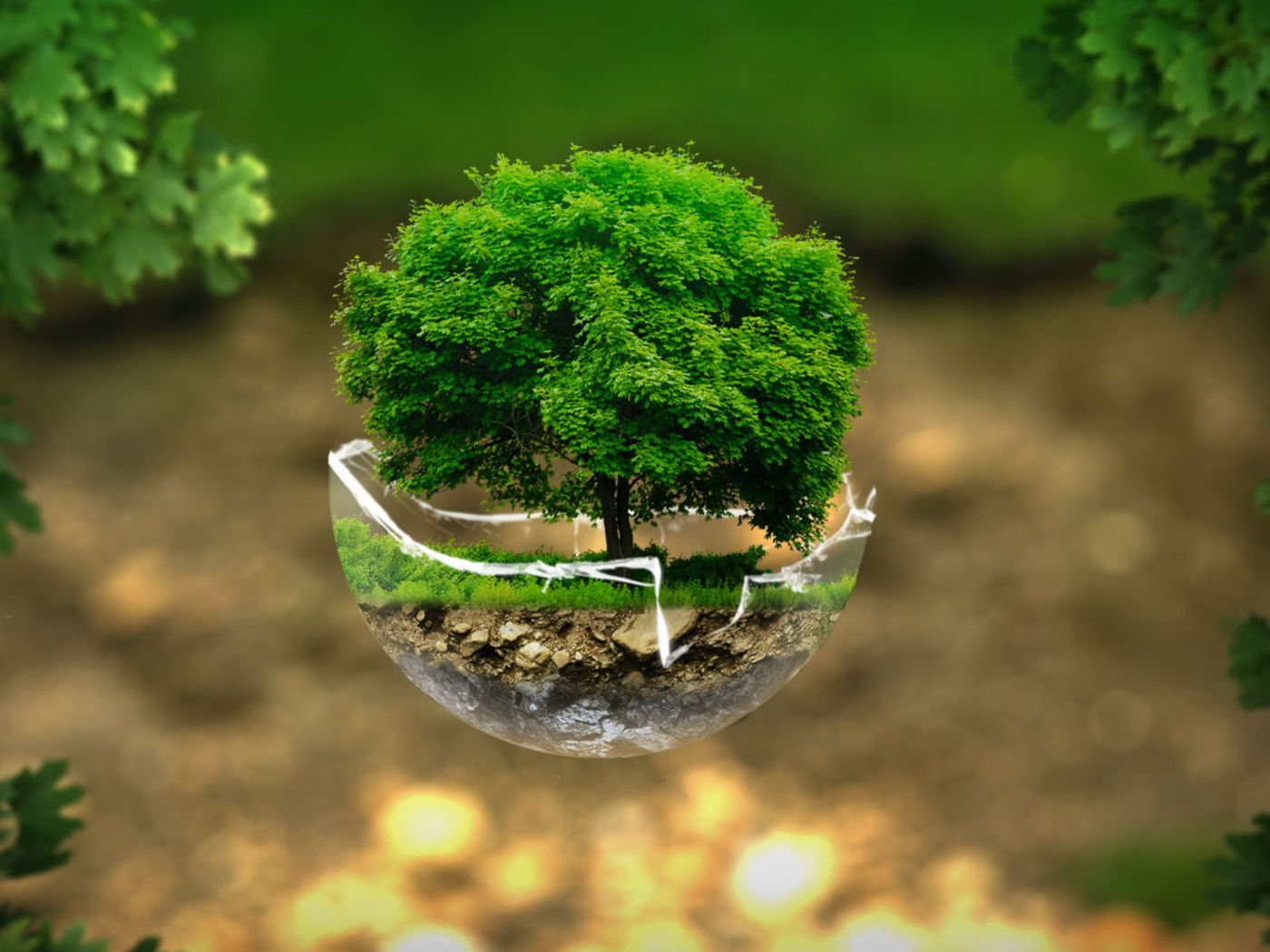 Vida: qué es, características y origen - Enciclopedia Significados